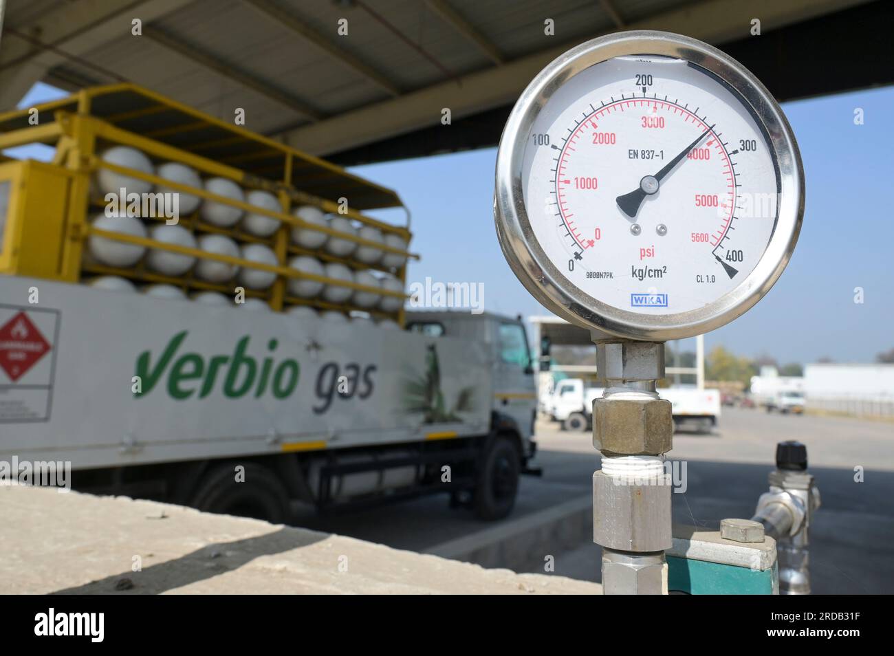 INDIA, Punjab, Lehragaga, Verbio biogas plant process paddy straw to ...