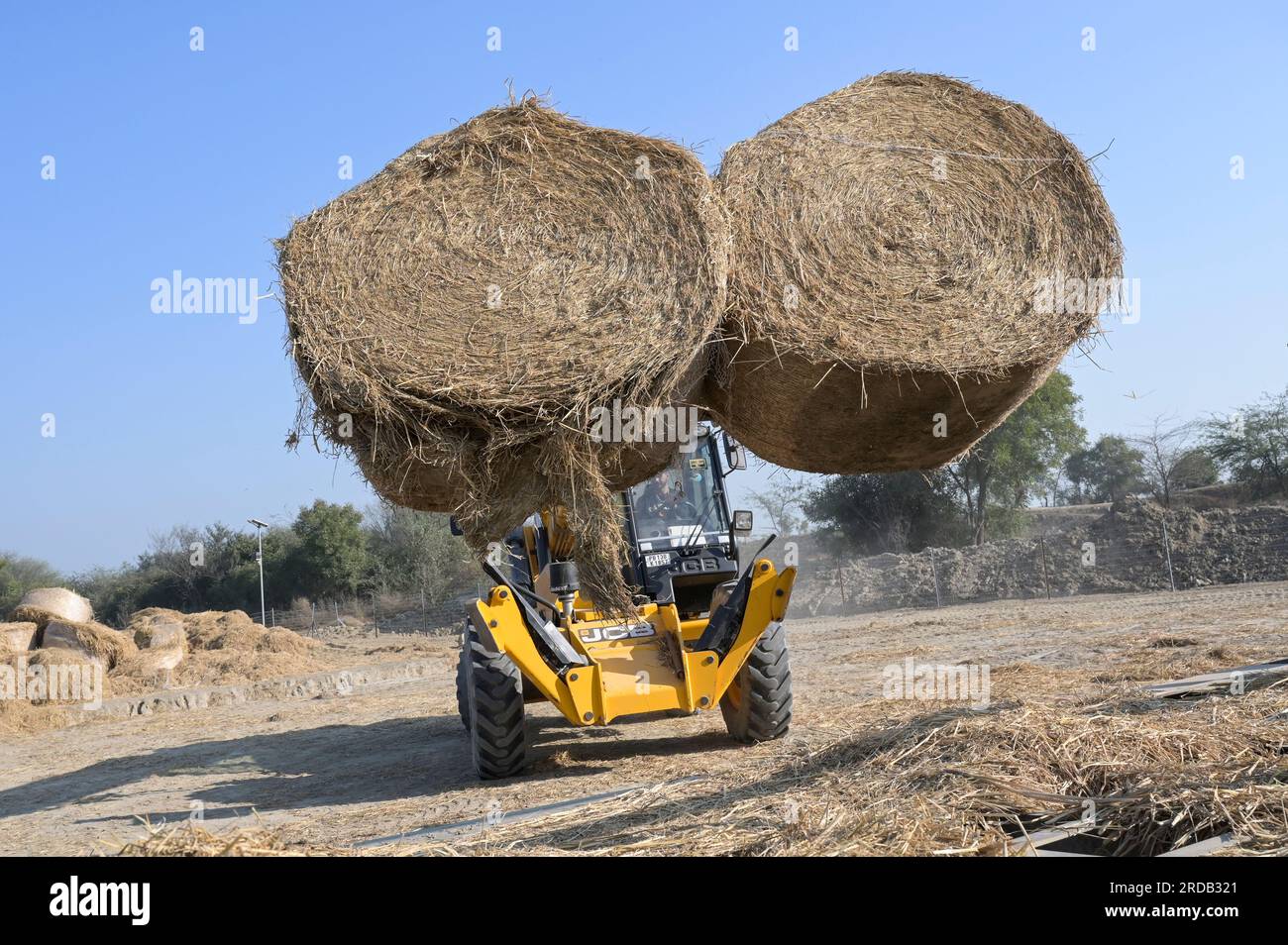 INDIA, Punjab, Lehragaga, Verbio biogas plant process paddy straw to ...