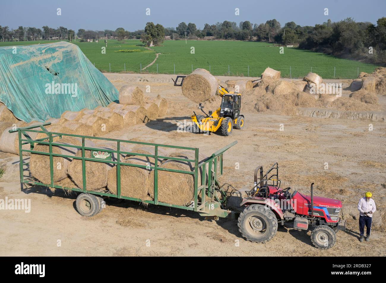 INDIA, Punjab, Lehragaga, Verbio biogas plant process paddy straw to ...