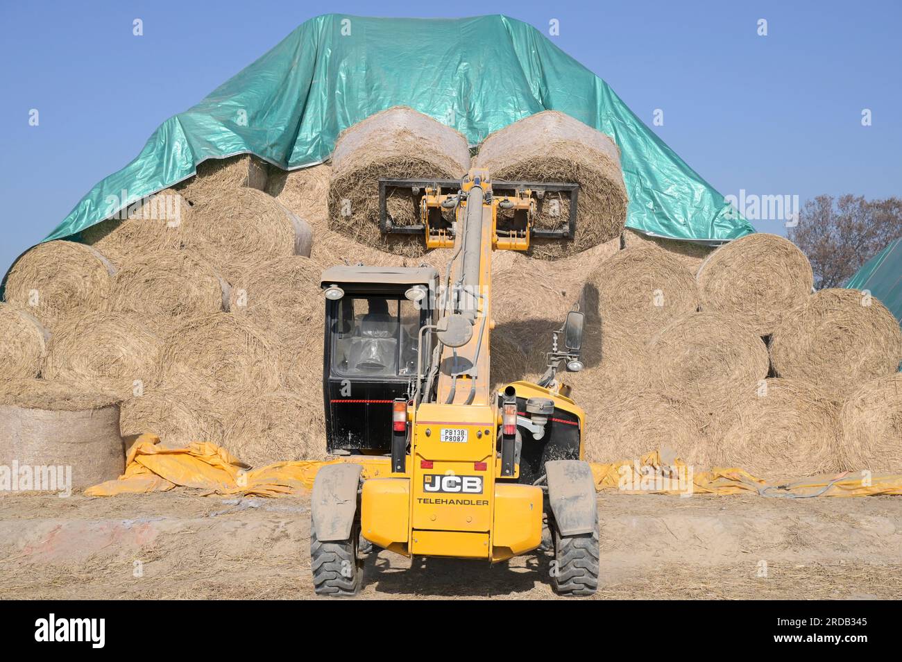 INDIA, Punjab, Lehragaga, Verbio biogas plant process paddy straw to ...