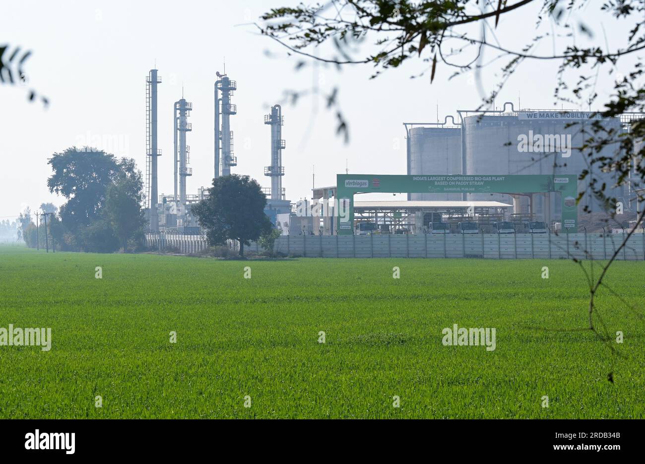 INDIA, Punjab, Lehragaga, Verbio biogas plant process paddy straw to ...