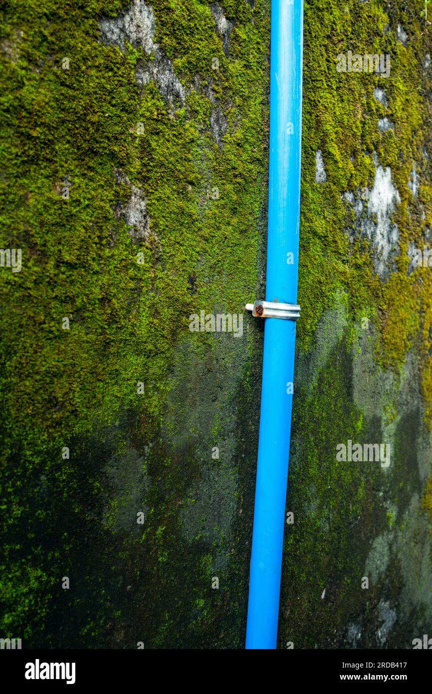 A big blue plastic pipe secured on a weary wall with grouted clips ...