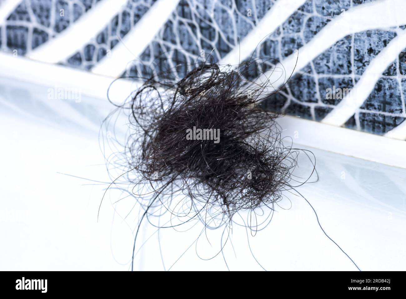 Big bunch of black hair that came out after shampooing lies in bathroom ...
