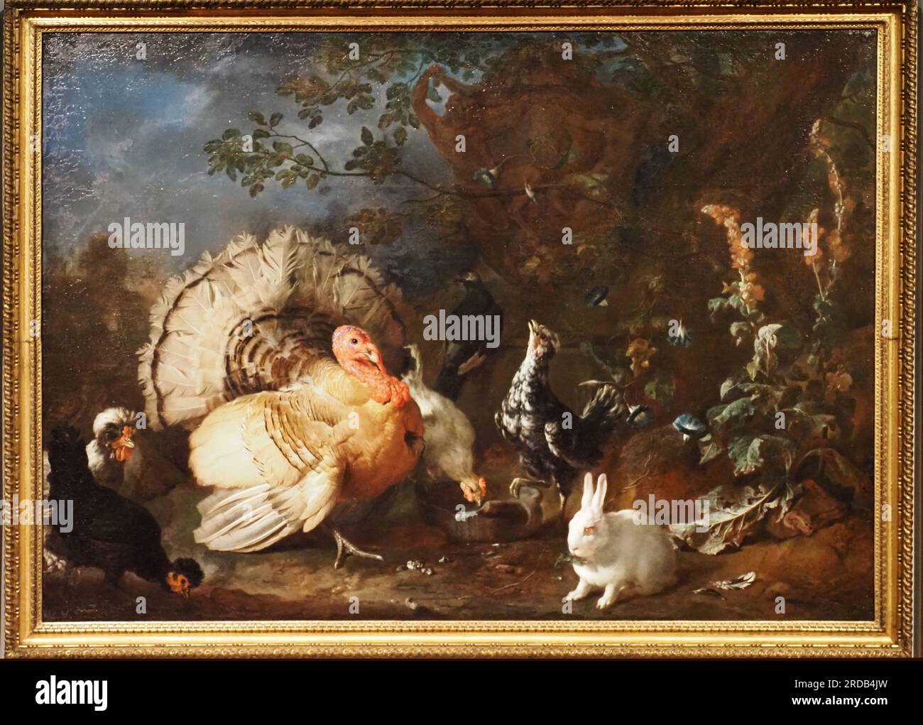 Domestic Fowl and Rabbit, oil on canvas, circa 1706. Creator: Franz ...