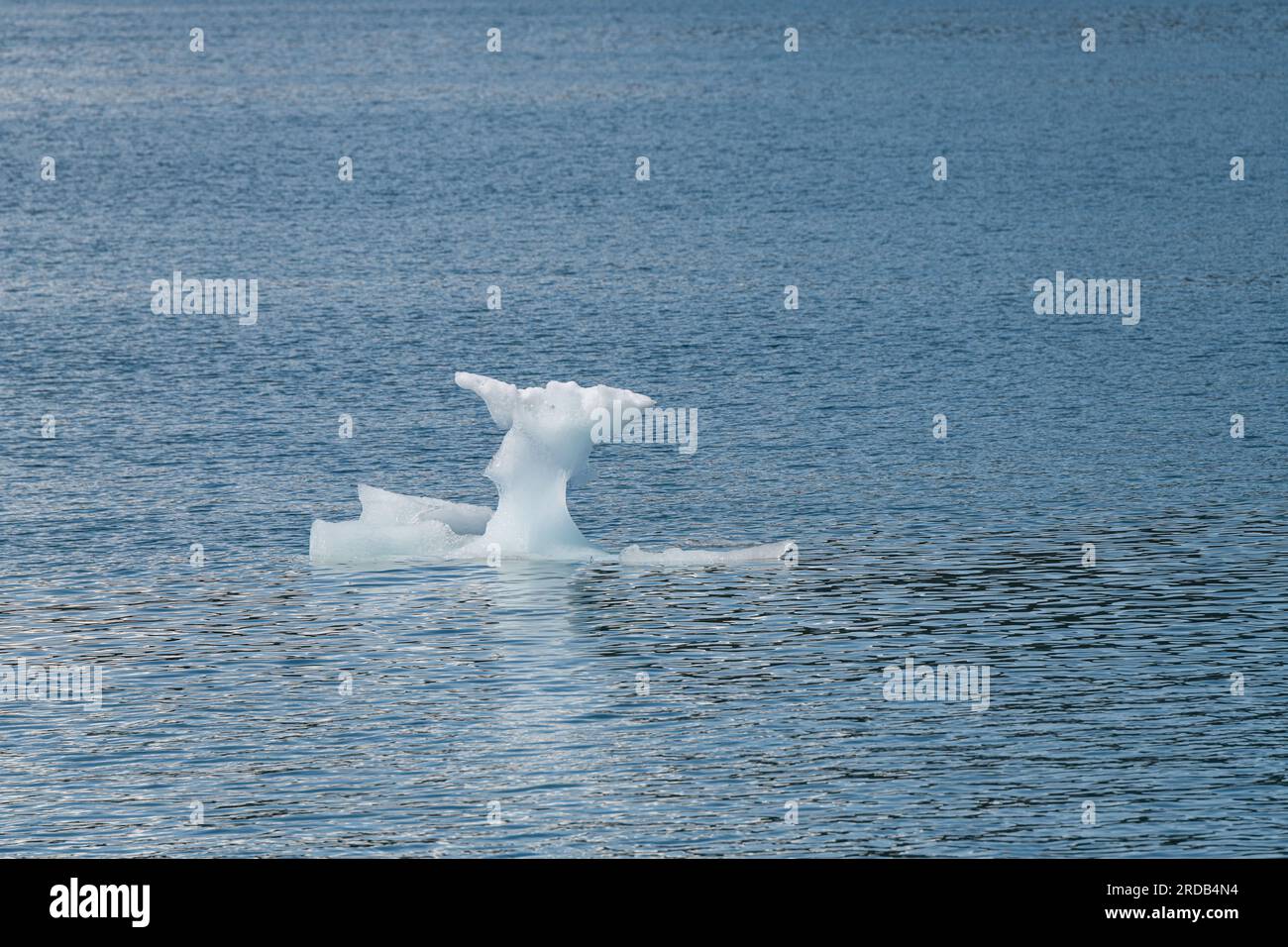 Strangley shaped growler (little iceberg) floating in College Fjord in ...