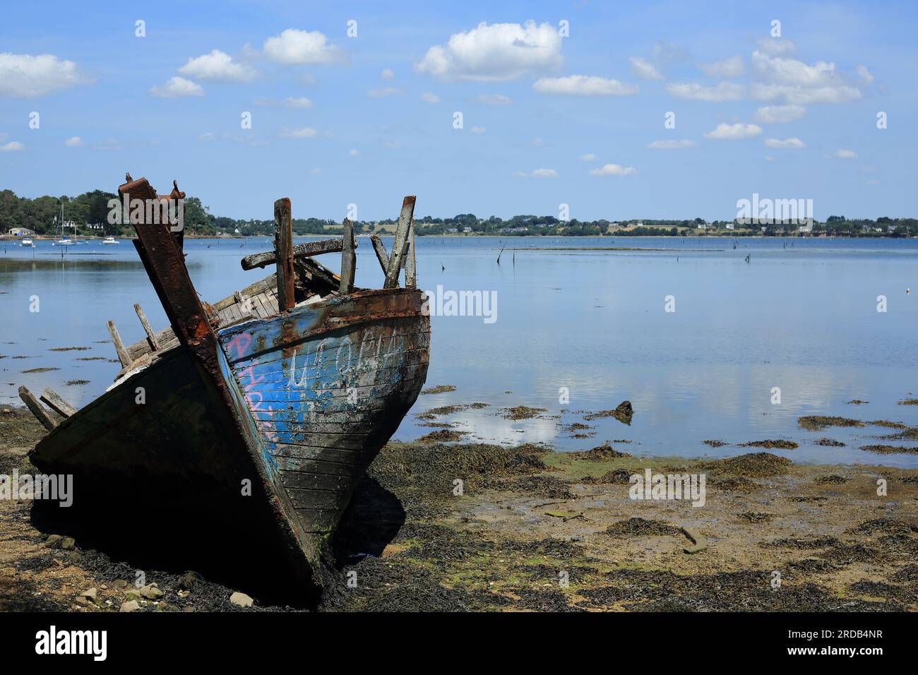 Cimitere marin hi-res stock photography and images - Alamy
