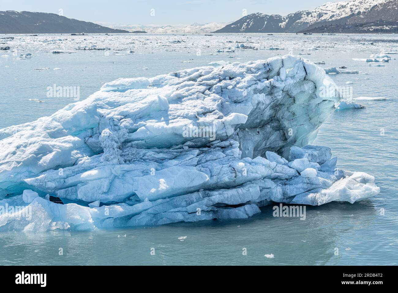 Strangley shaped growler (little iceberg) floating in College Fjord in ...