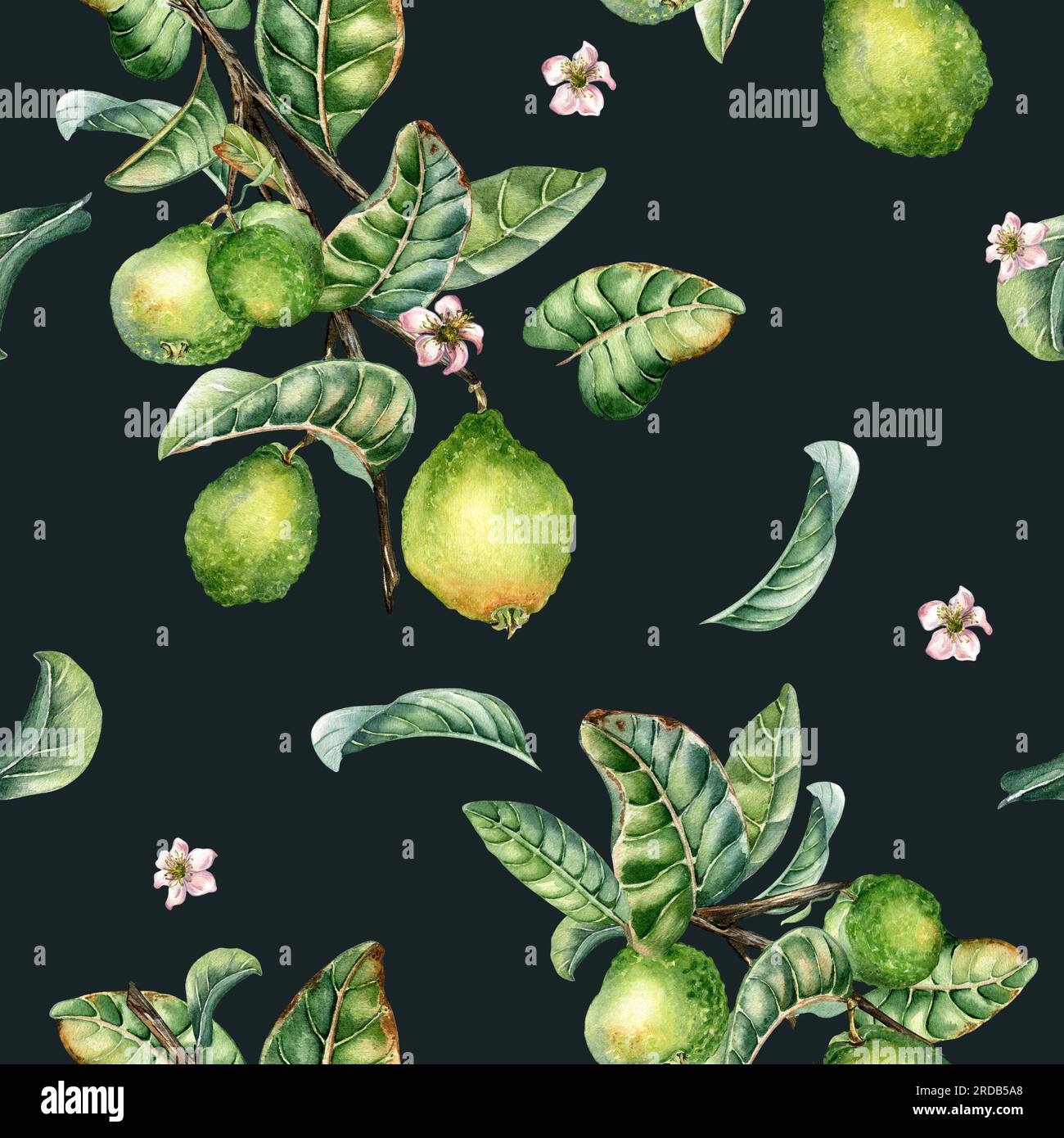 Branch of tree and single guava fruit watercolor seamless pattern ...