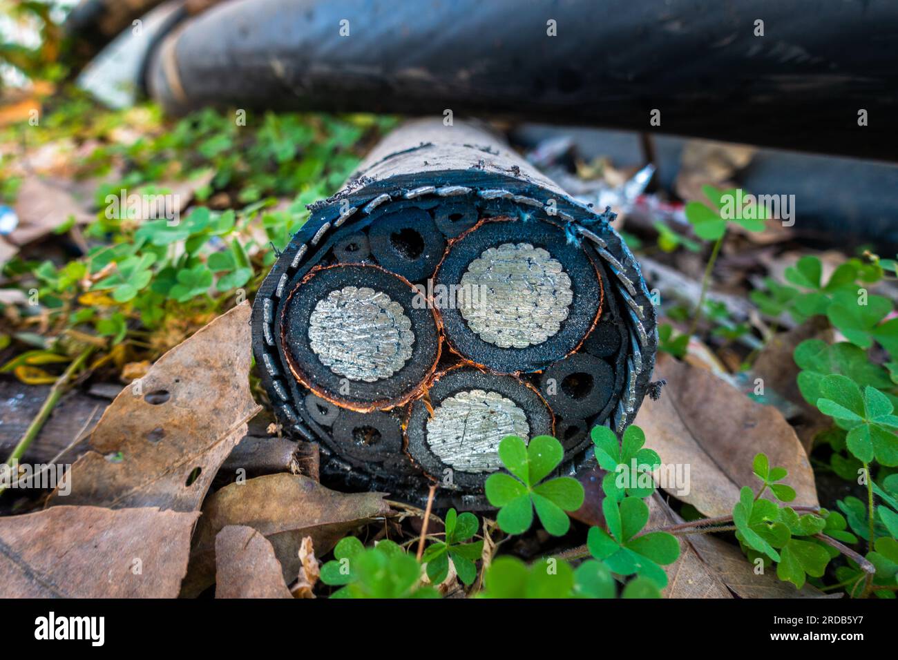 Fiber optic cable india hi-res stock photography and images - Alamy