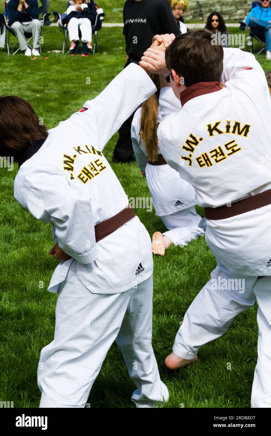 Tae Kwon Do Stock Photo - Alamy