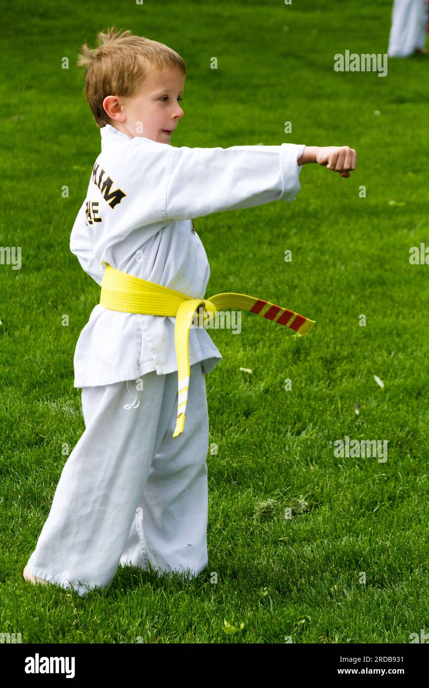 Tae Kwon Do Stock Photo - Alamy