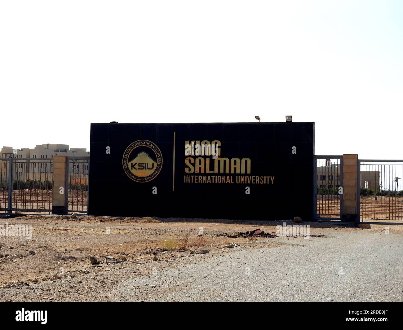 King Saud University Logo