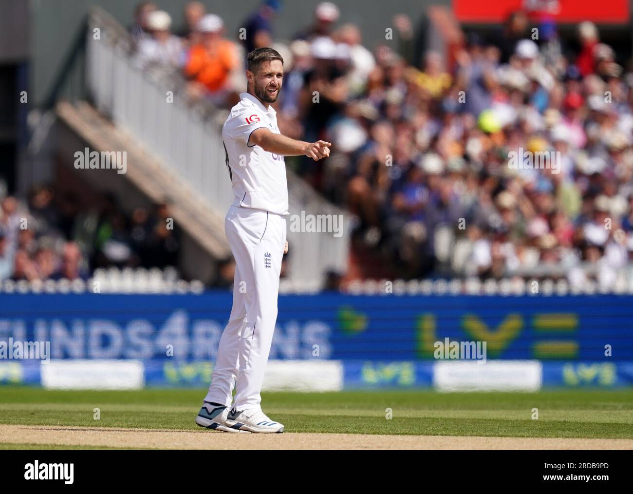 England's Chris Woakes celebrates after taking the wicket of Australia ...