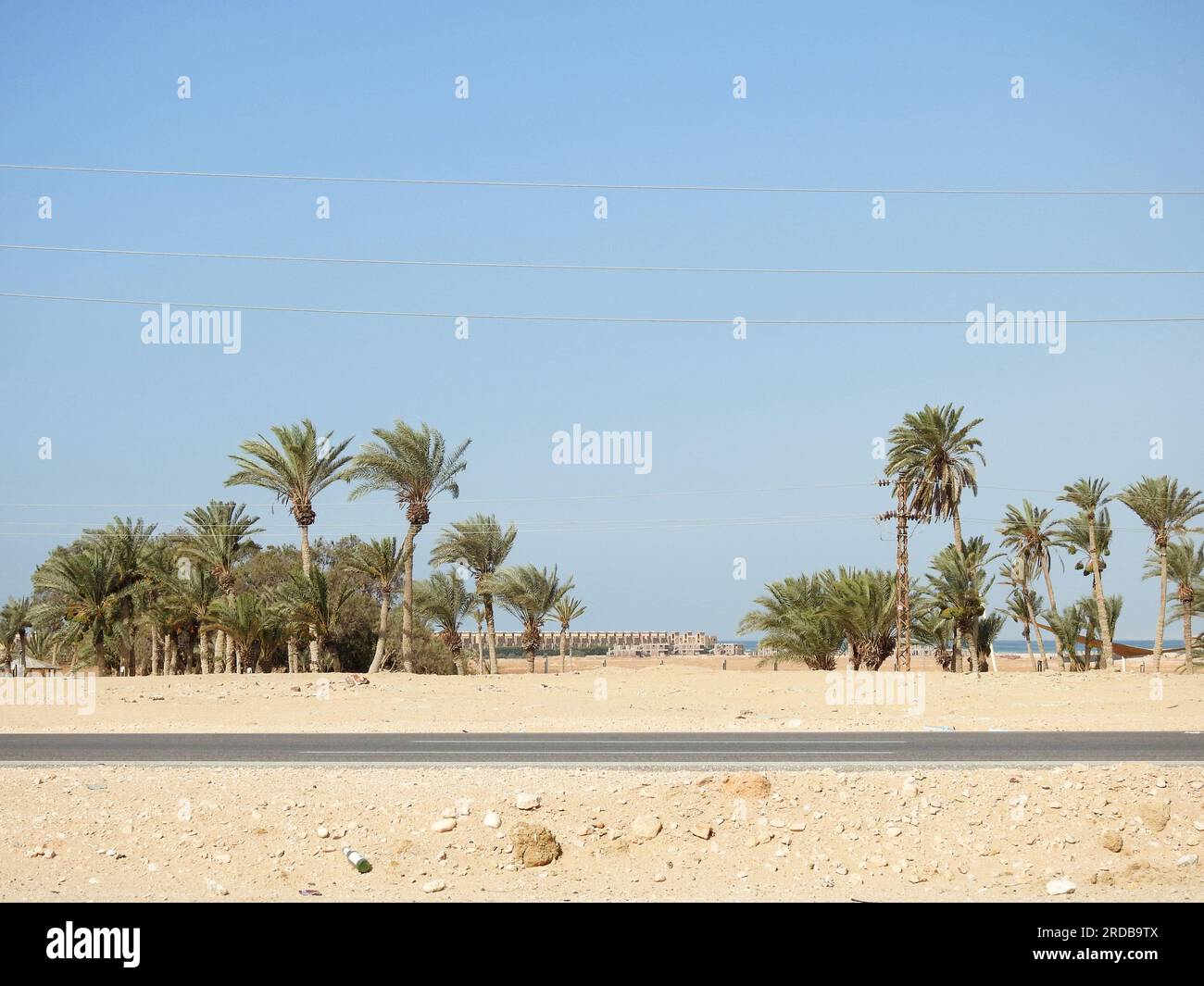 Prophet Moses Springs, Water wells and palms in Sinai Peninsula, Ras ...