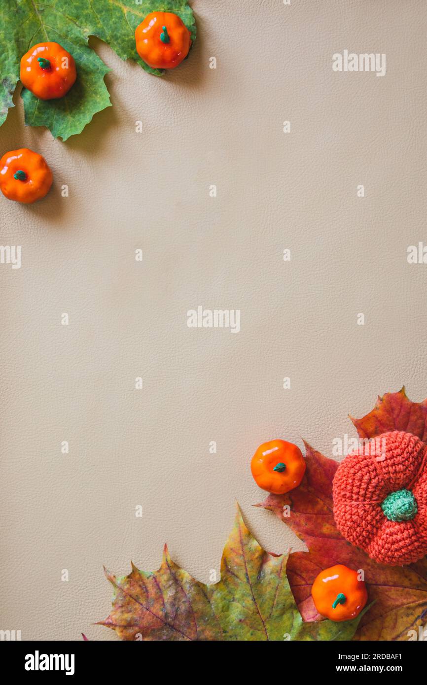Autumn composition cozy fall hi-res stock photography and images - Alamy