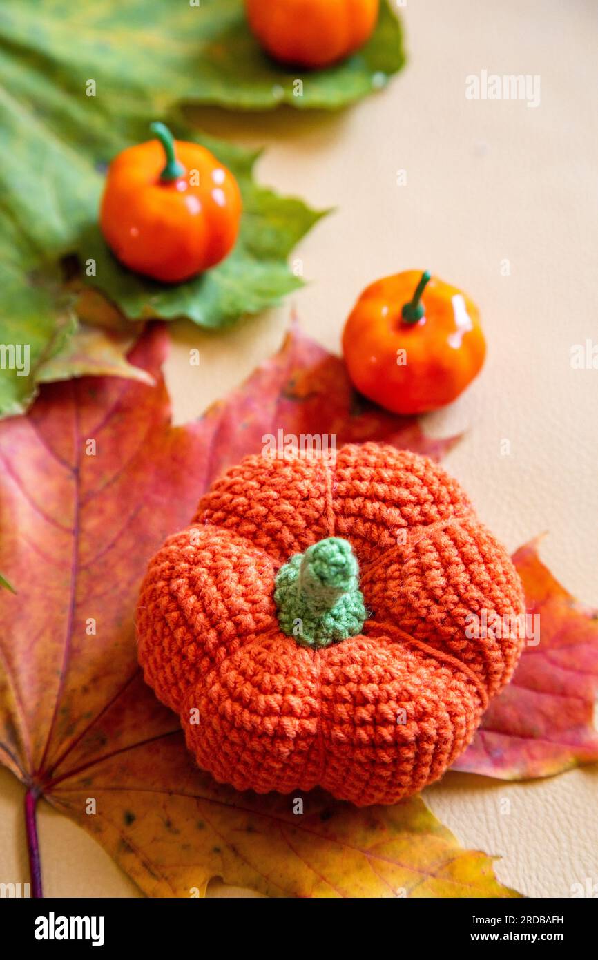 Autumn composition cozy fall hi-res stock photography and images - Alamy