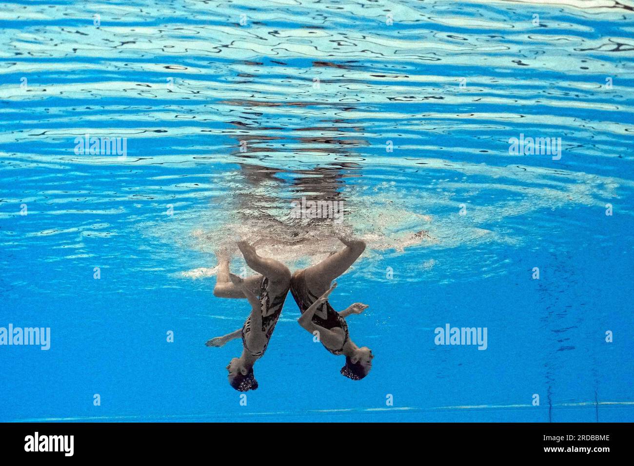 Wang Liuyi and Wang Qianyi, of China, compete in the duet free final of ...