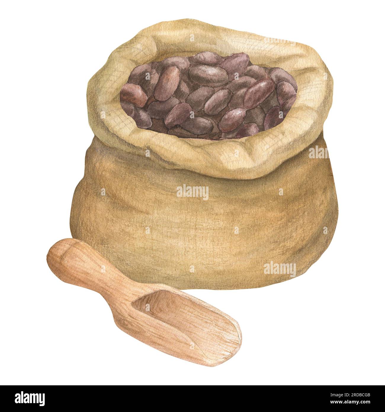 Hand seeds illustration Cut Out Stock Images & Pictures - Alamy