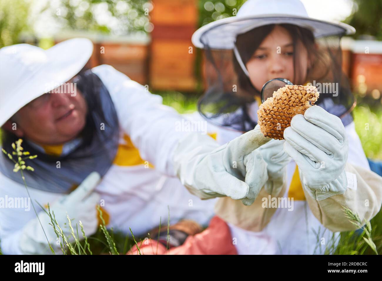 Senior male apiculturist teaching about beeswax to girl with magnifying ...