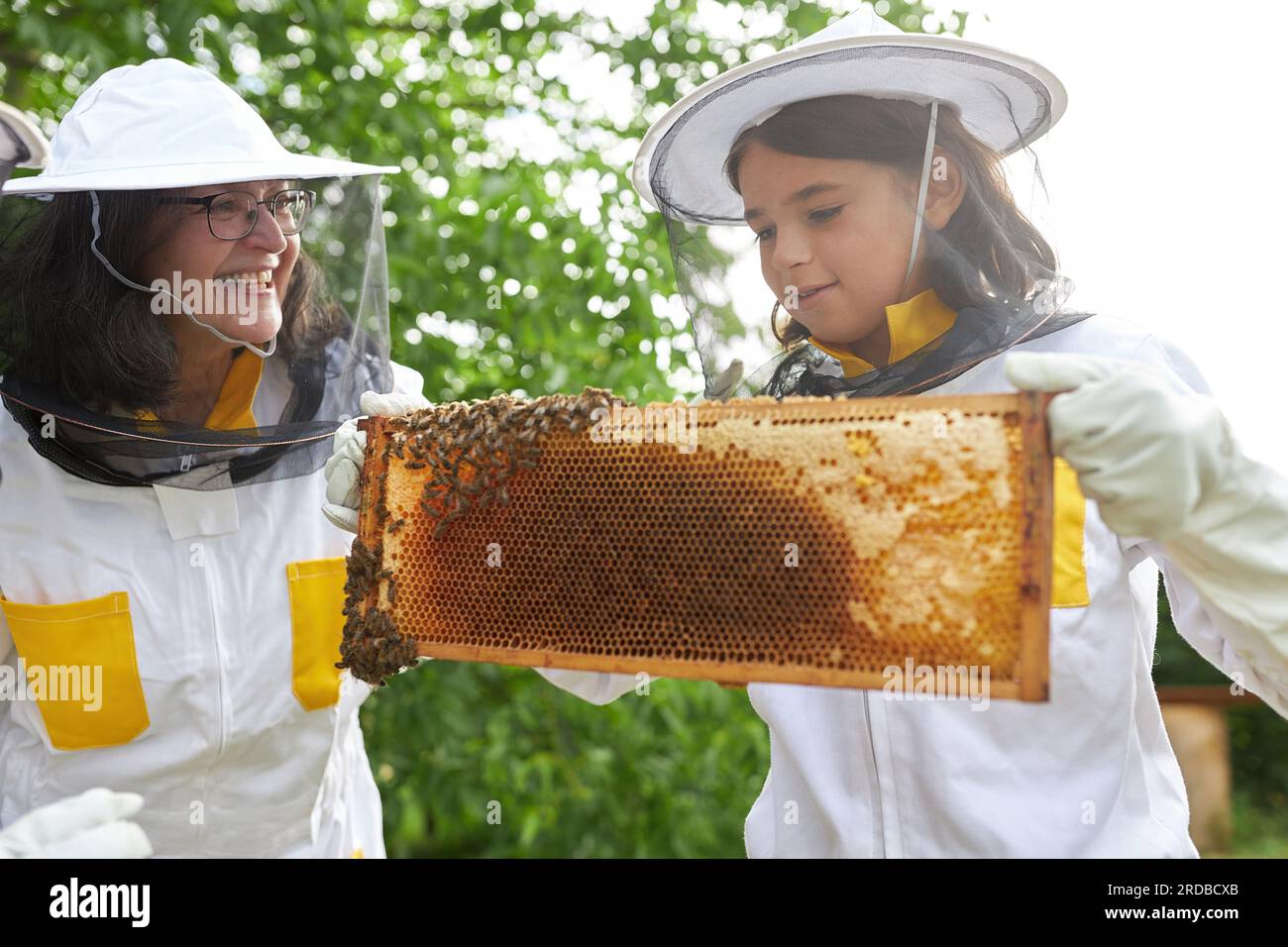 Smiling honey bee girl hi-res stock photography and images - Alamy