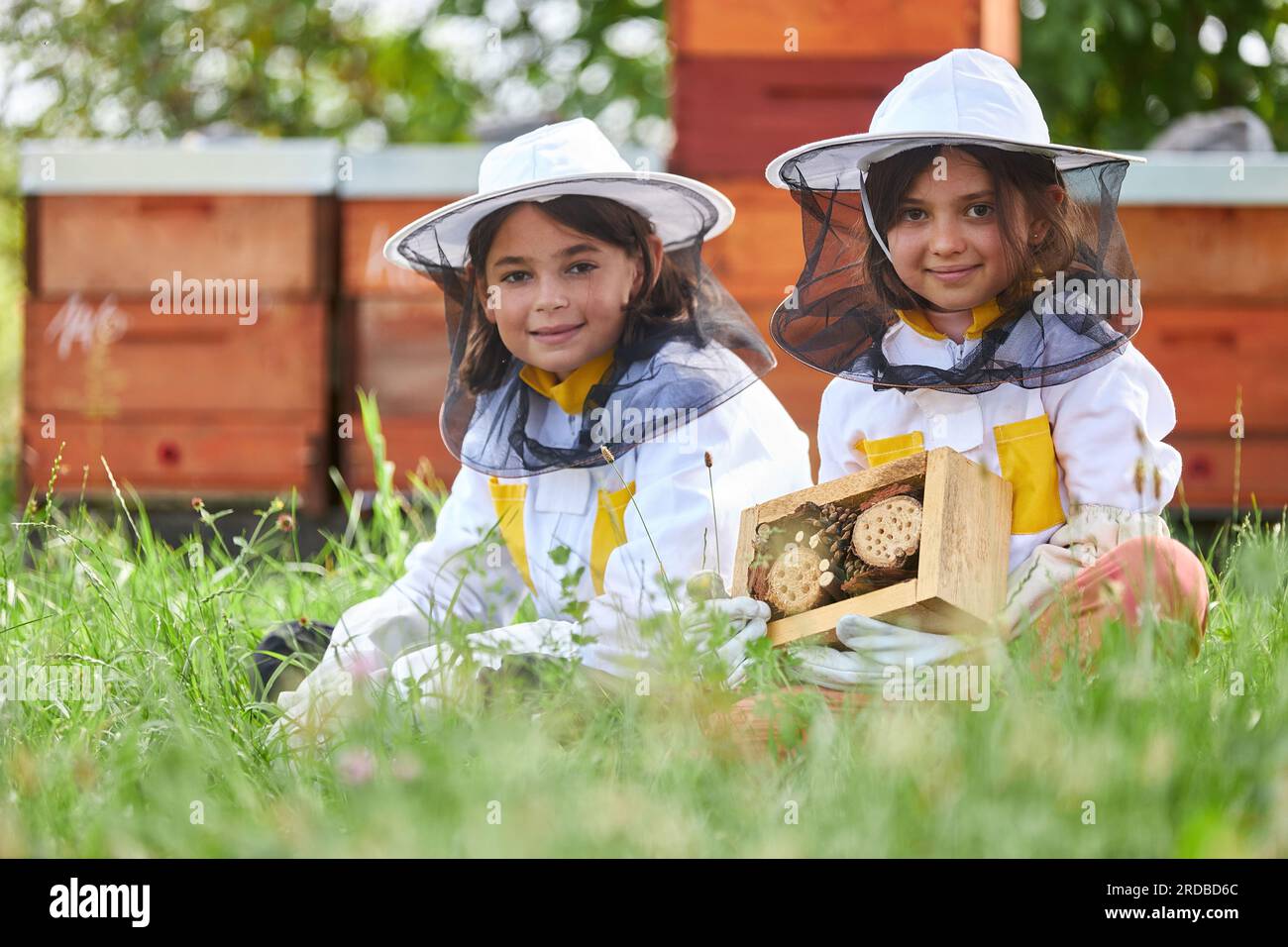 Insect farm hi-res stock photography and images - Alamy