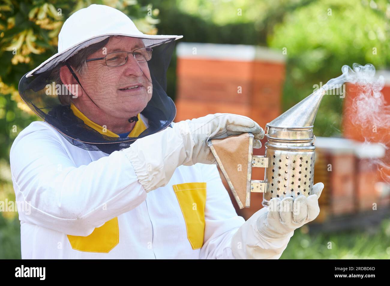 Senior male beekeeper holding smokepot at apiary garden in summer Stock ...