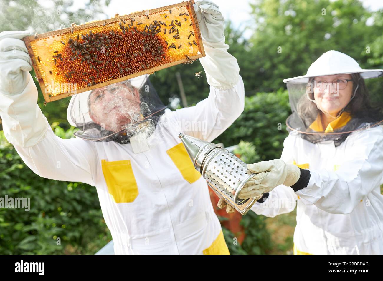 Senior female beekeeper holding smoker by male apiarist examining ...