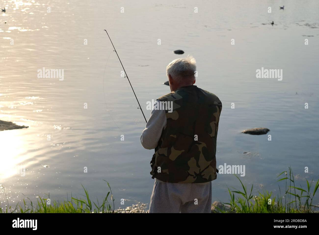 Old man fishing. Senior gray haired fisherman throws a spinning from ...
