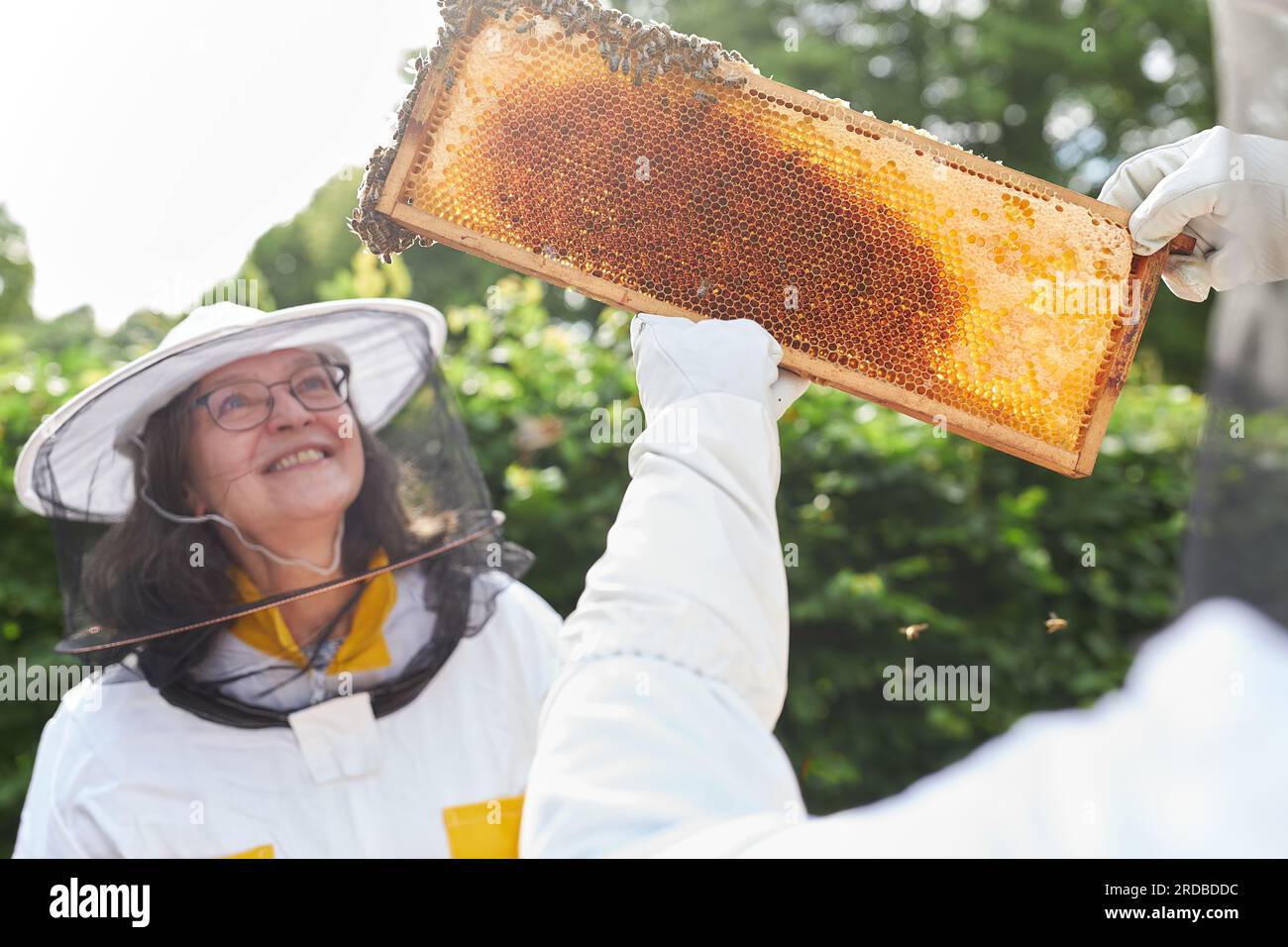 Man beekeeper hi-res stock photography and images - Alamy