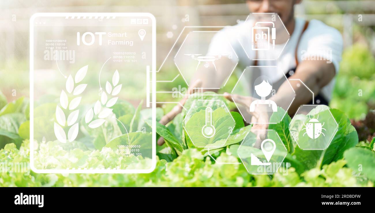 Hand touching plants green with and visual icon Smart farming on ...