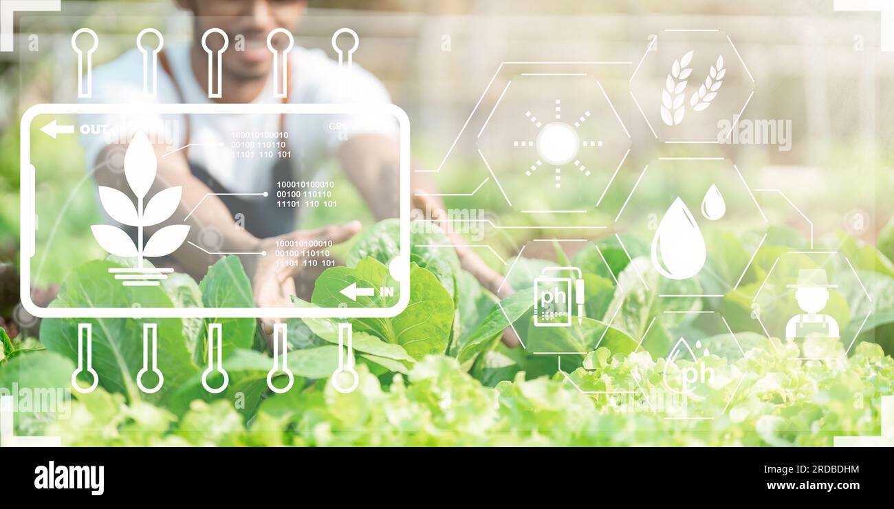 Hand touching plants green with and visual icon Smart farming on ...