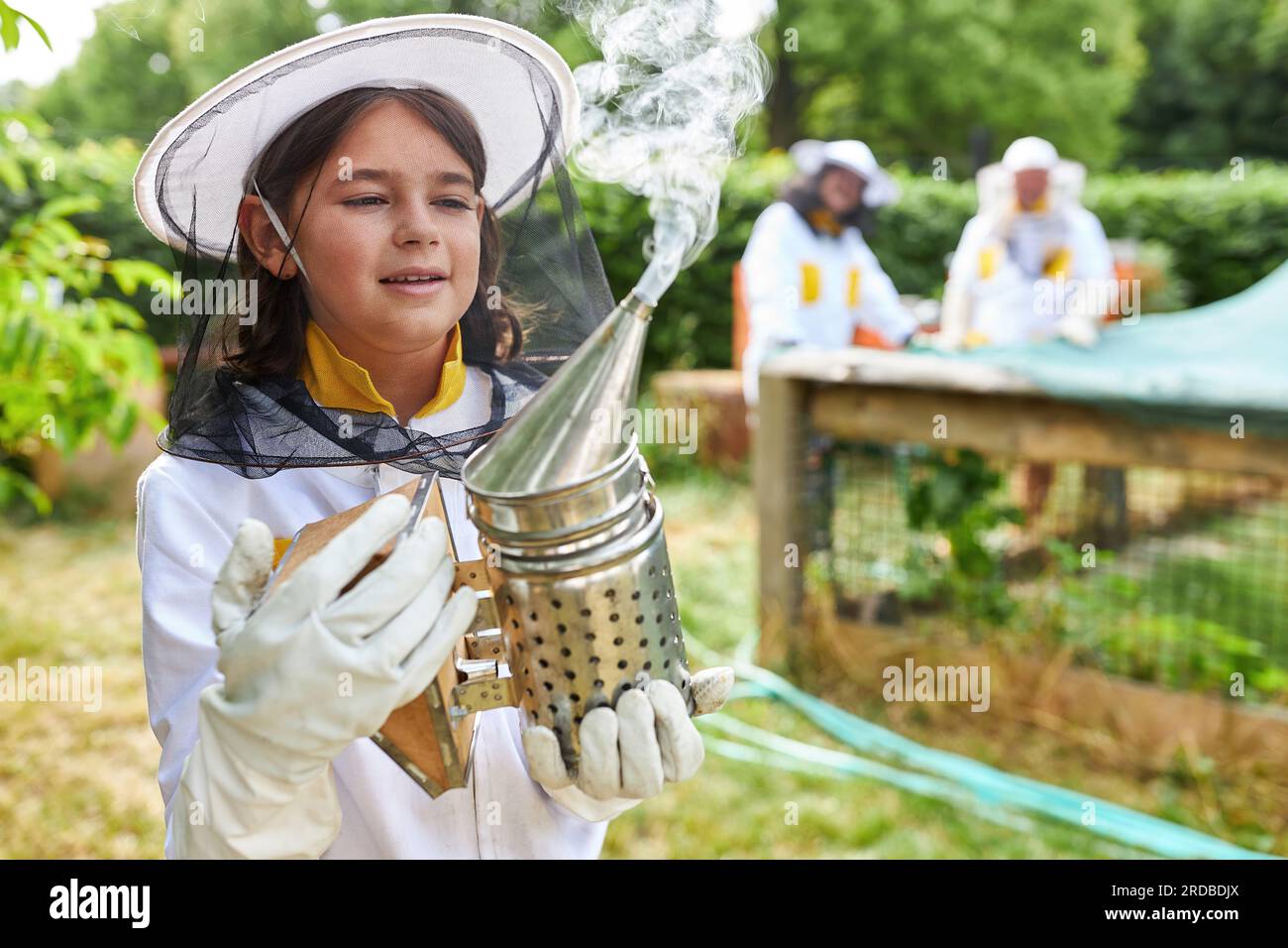 Girl as beekeeper with bee smoker in front of bee hives in the garden ...