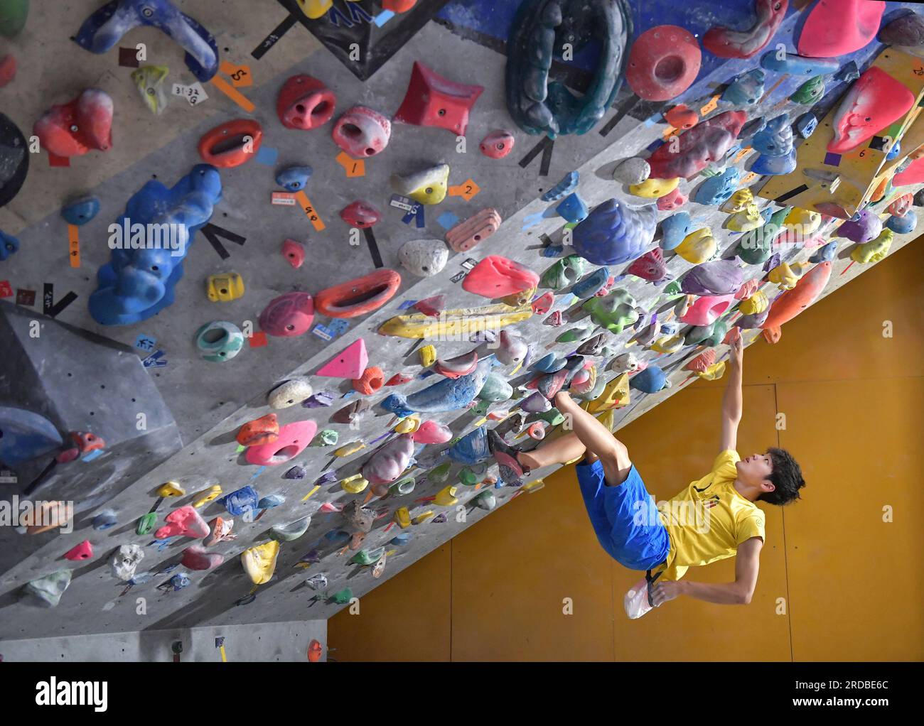 Sorato Anraku opens his training to media in Yachiyo, Chiba Prefecture ...
