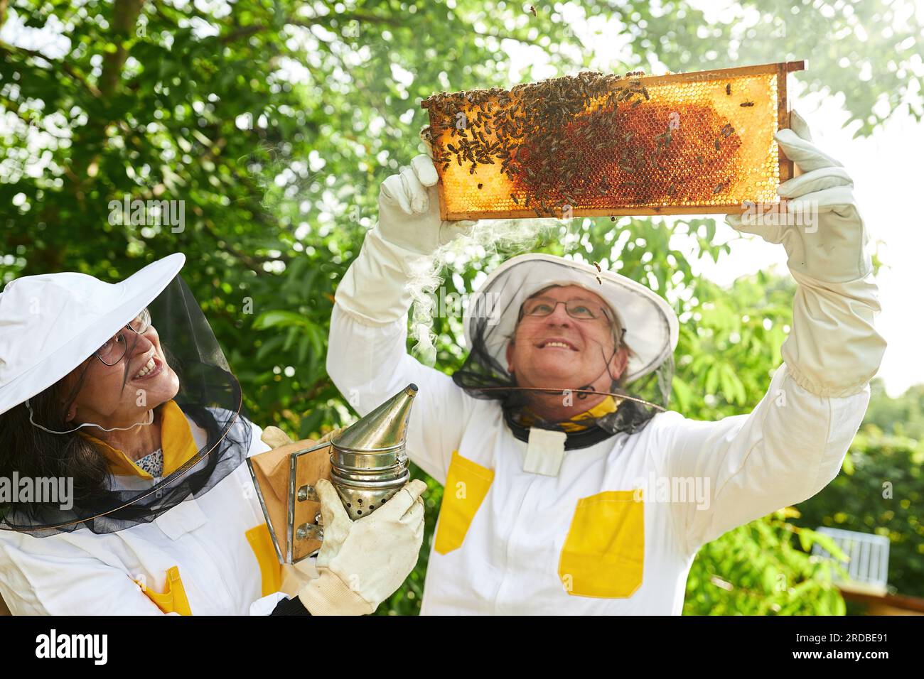 Happy senior female beekeeper holding smoker by male apiarist examining ...