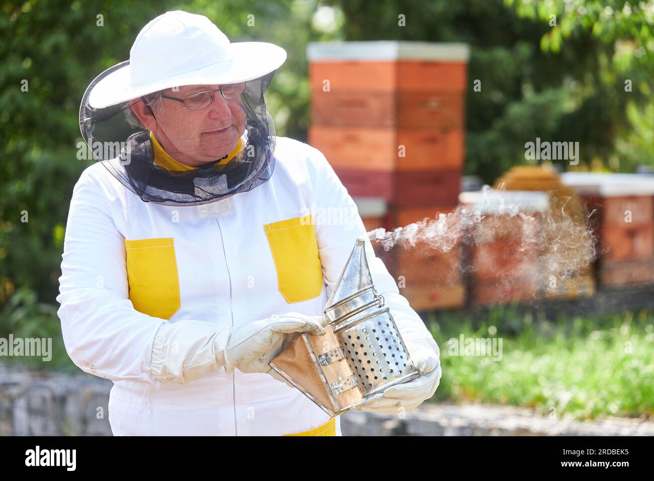 Senior male apiarist holding smokepot at apiary garden in summer Stock ...