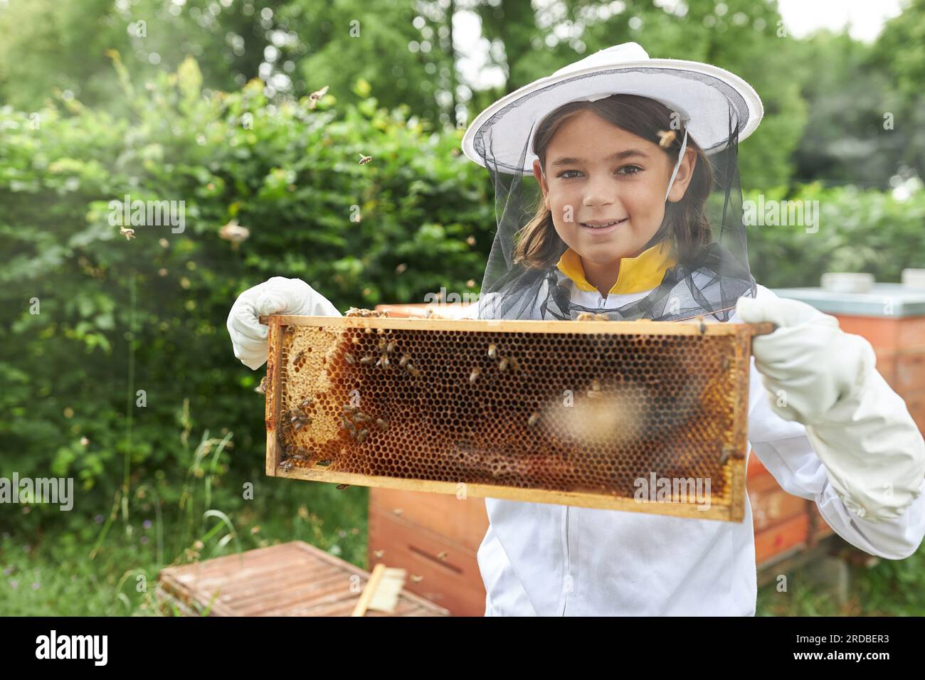 Portrait of happy girl holding beehive frame with honey bees at apiary ...