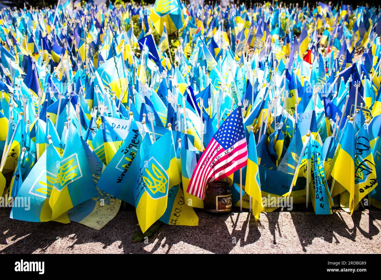 Thousands of flags have been planted at the makeshift memorial for ...