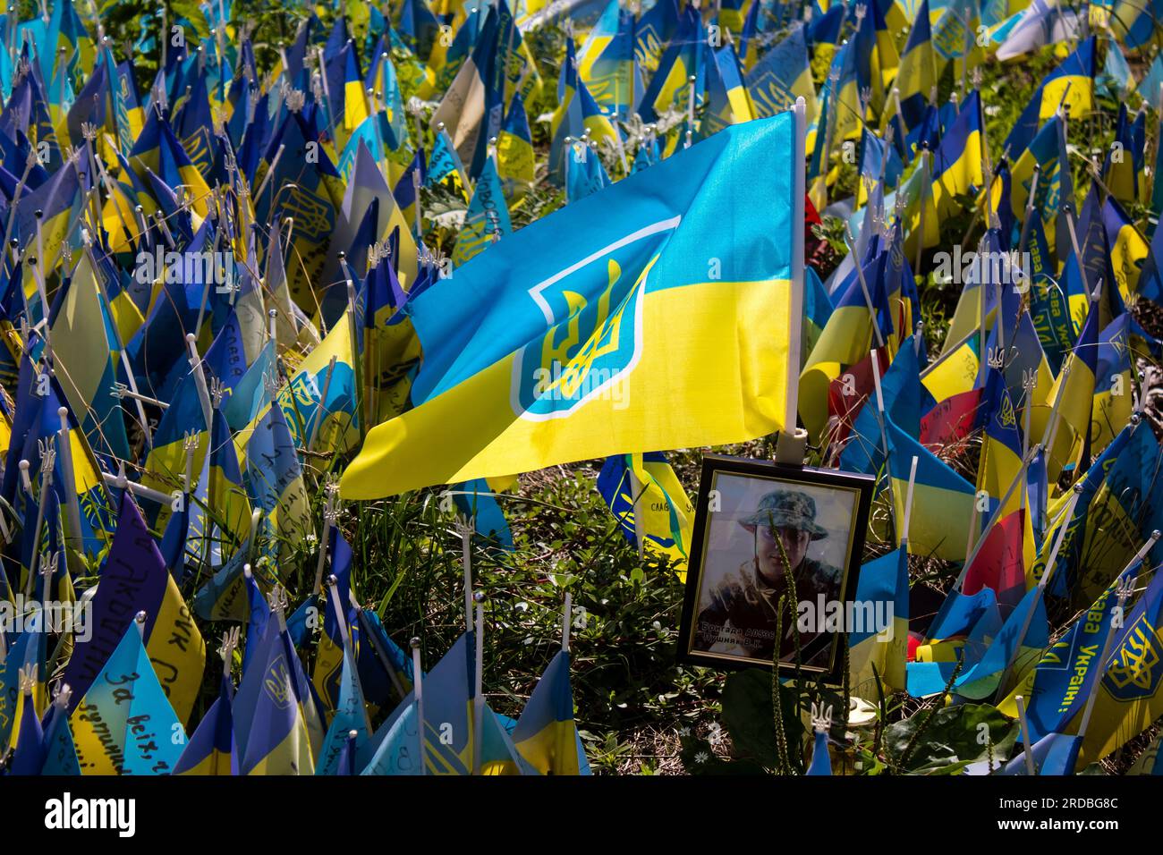 Thousands of flags have been planted at the makeshift memorial for ...
