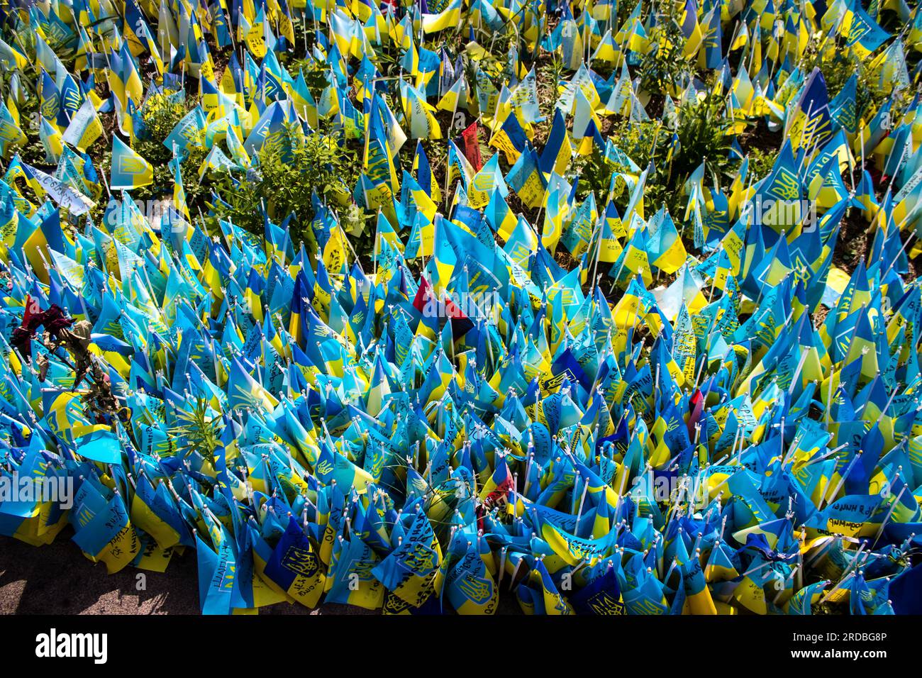 Thousands of flags have been planted at the makeshift memorial for ...