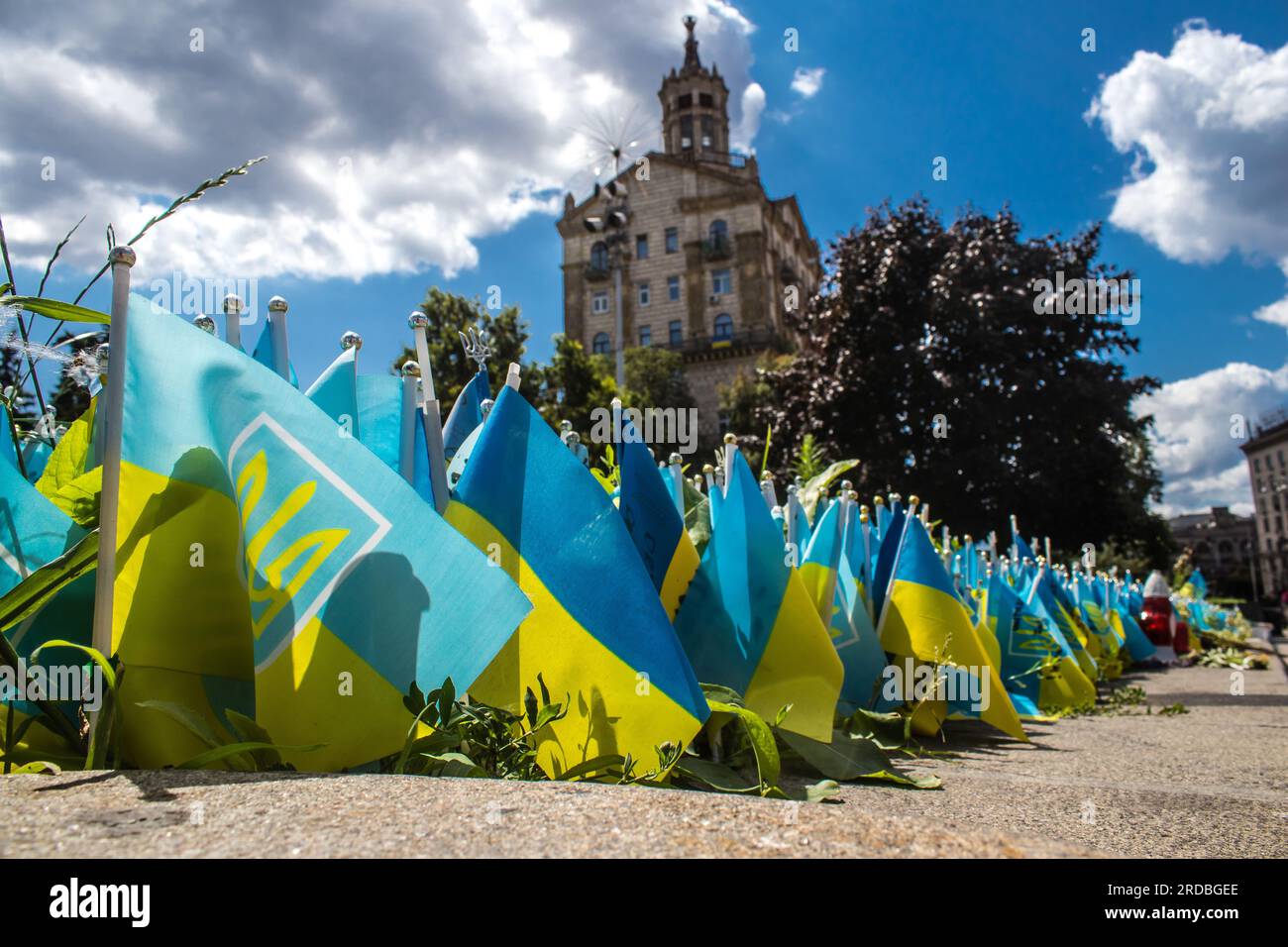 Thousands of flags have been planted at the makeshift memorial for ...