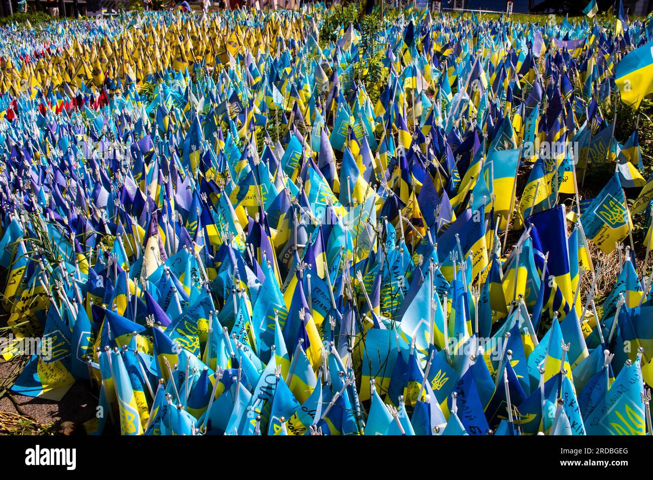 Thousands of flags have been planted at the makeshift memorial for ...