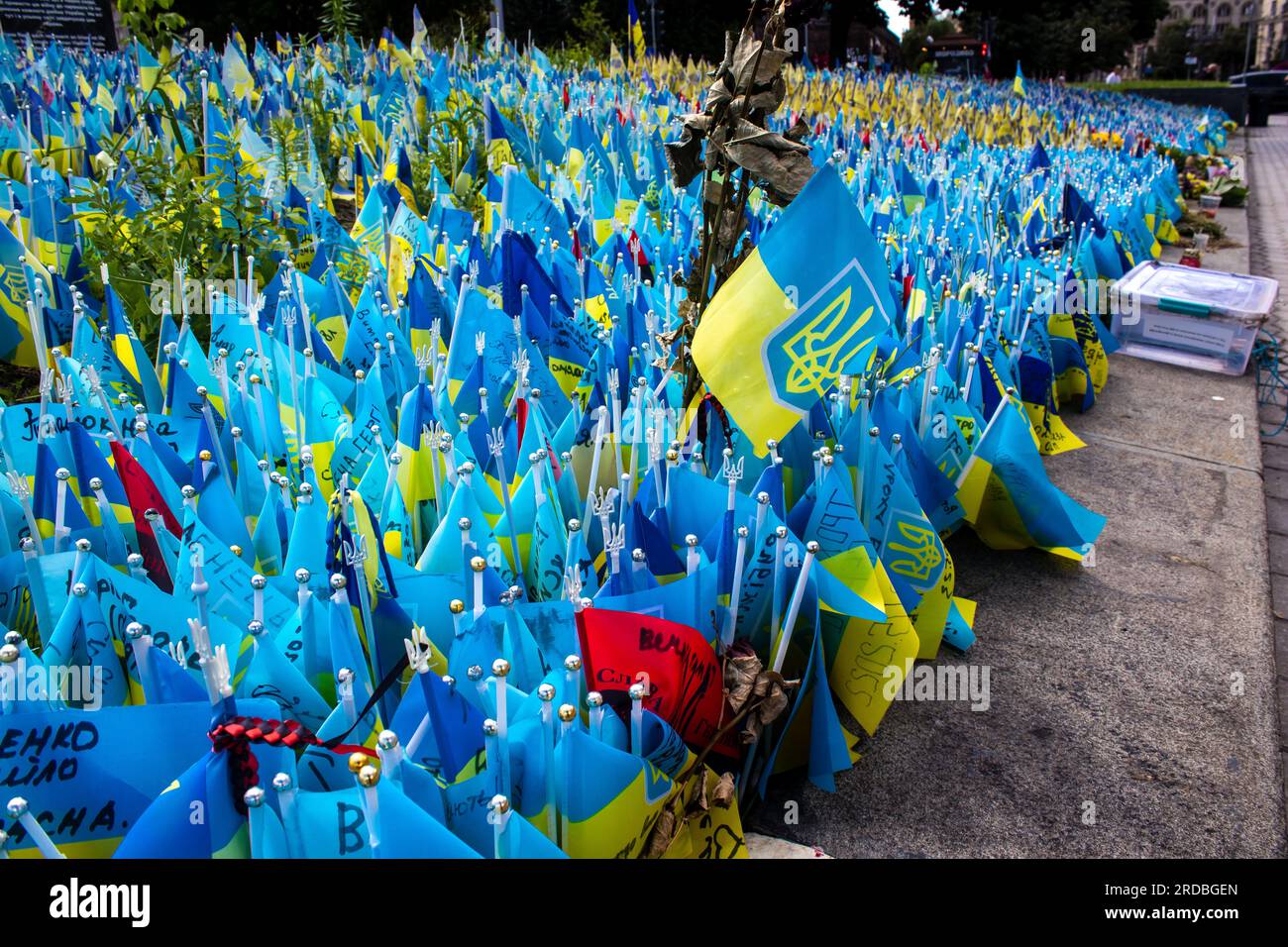 Thousands of flags have been planted at the makeshift memorial for ...