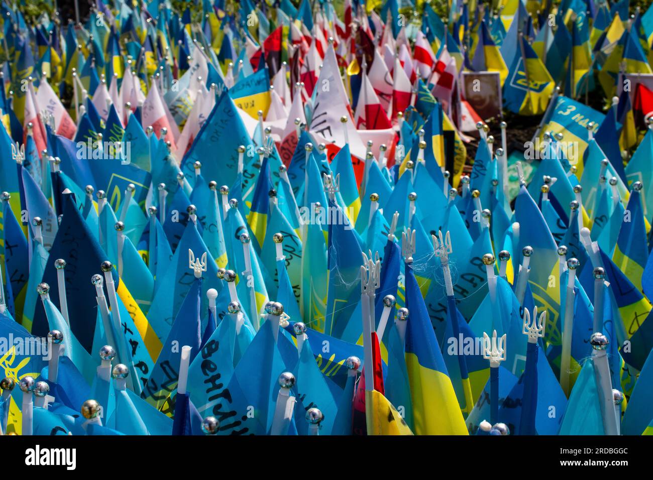 Thousands of flags have been planted at the makeshift memorial for ...