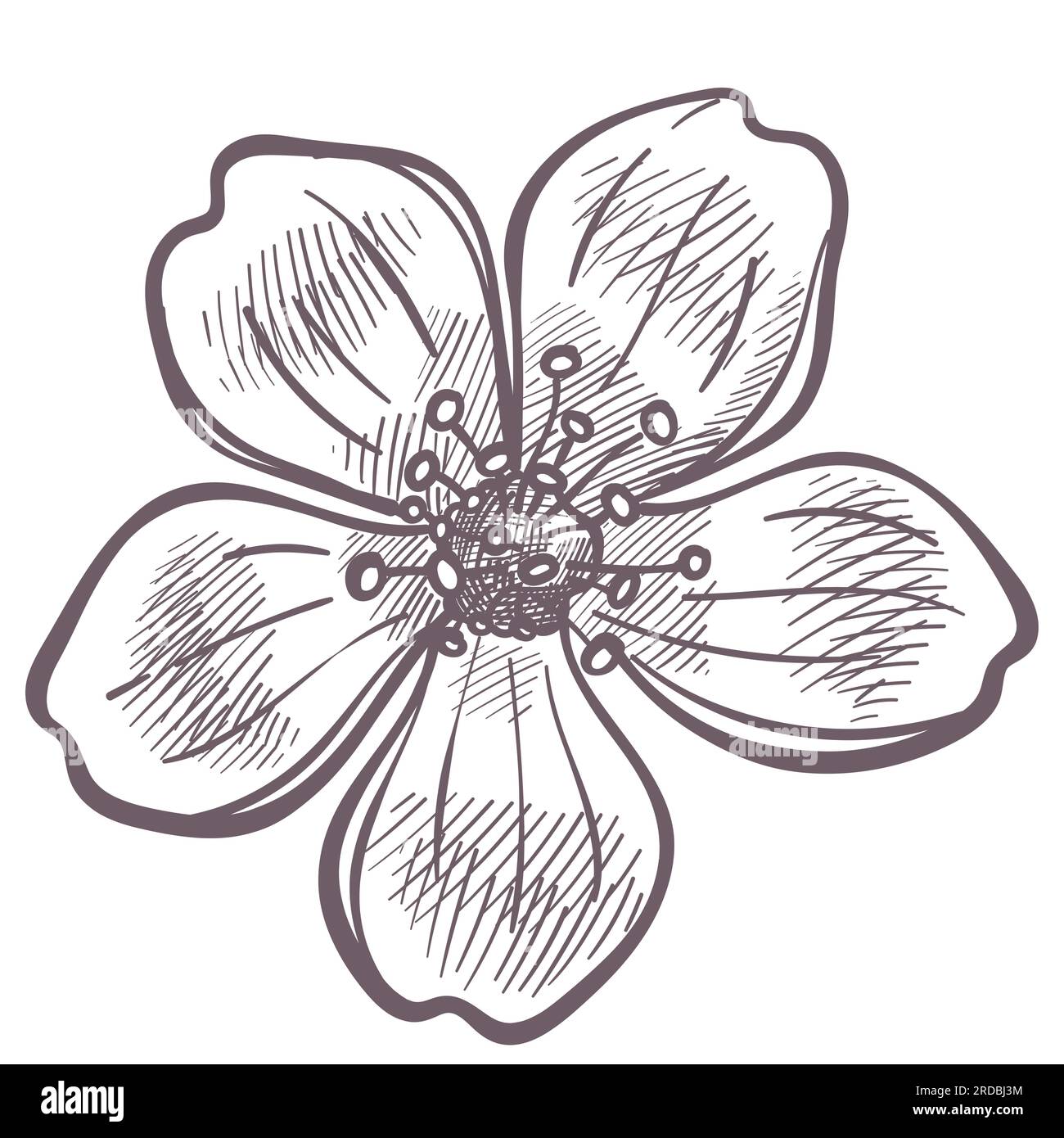 Field phase Stock Vector Images - Alamy