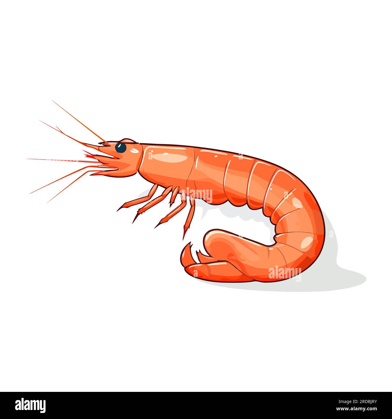 Shrimp image isolated. Shrimp icon. Cute red prawn in flat design ...