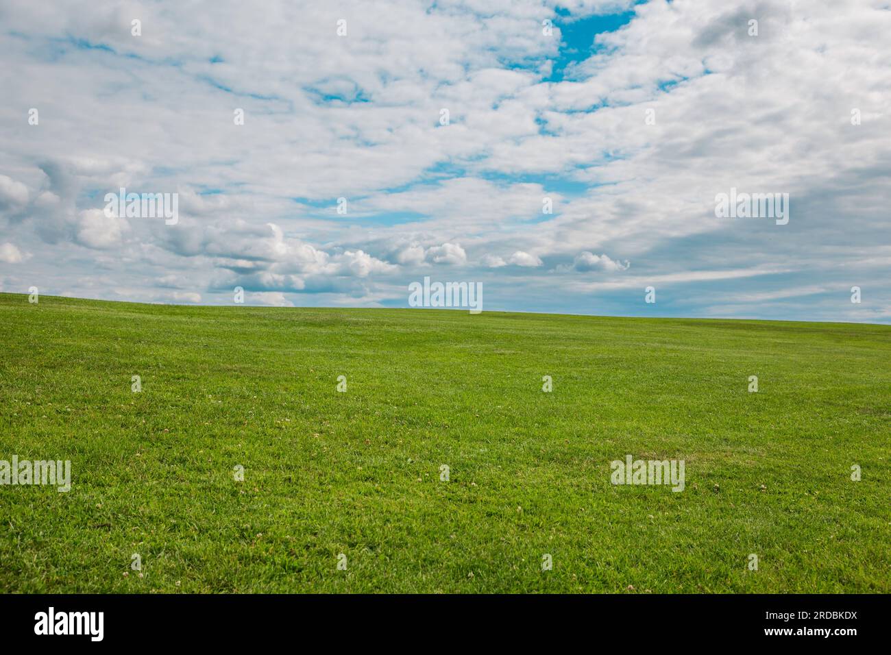 Grass And Sky Backgrounds