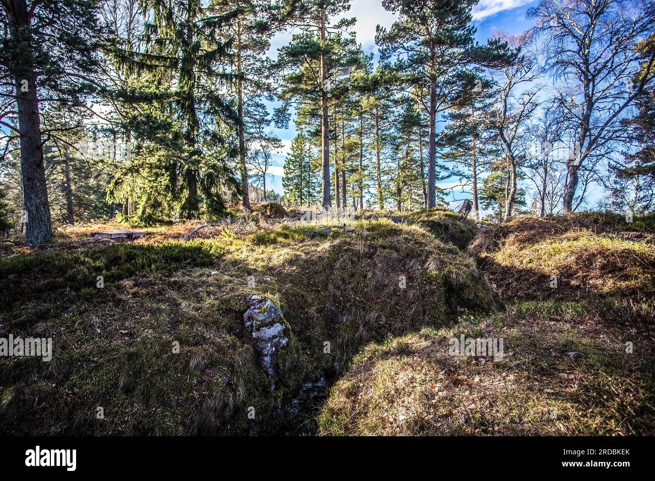 French trenches (WWI Stock Photo - Alamy