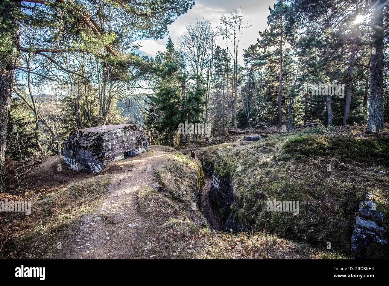 French trenches (WWI Stock Photo - Alamy