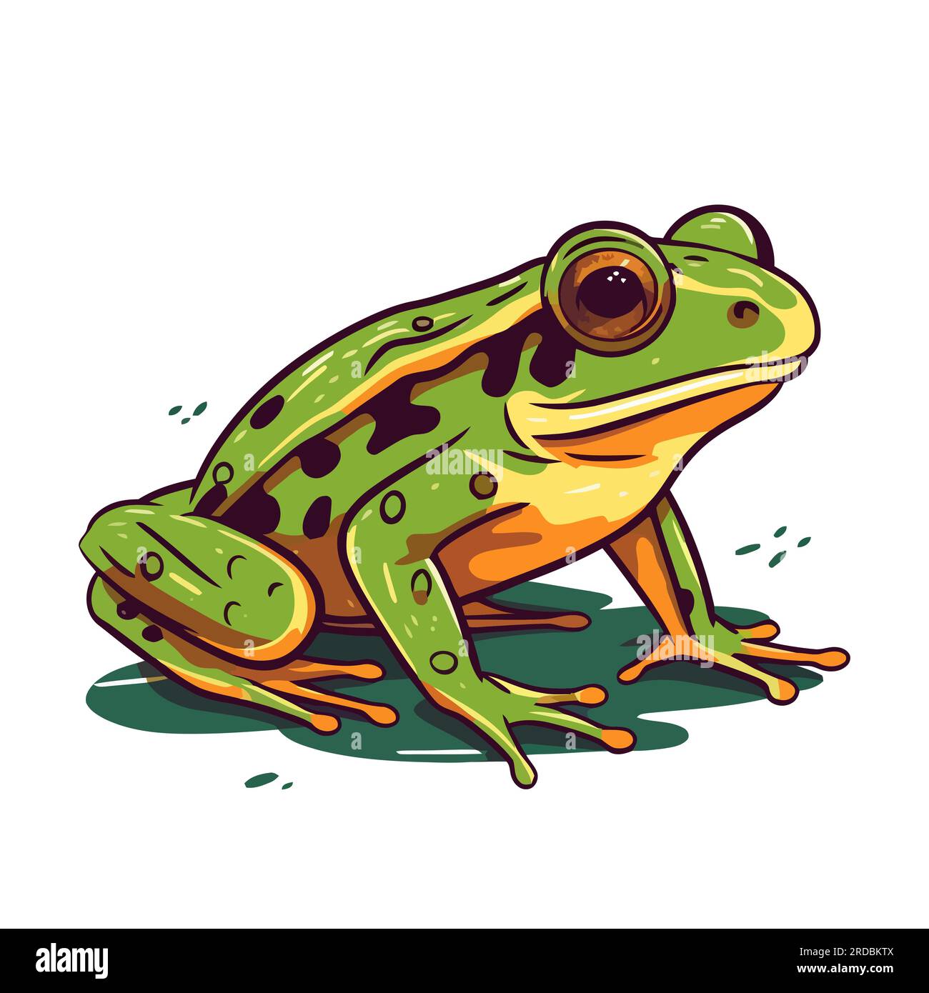 Frog logo design. Abstract drawing frog. Cute toad isolated. Vector ...