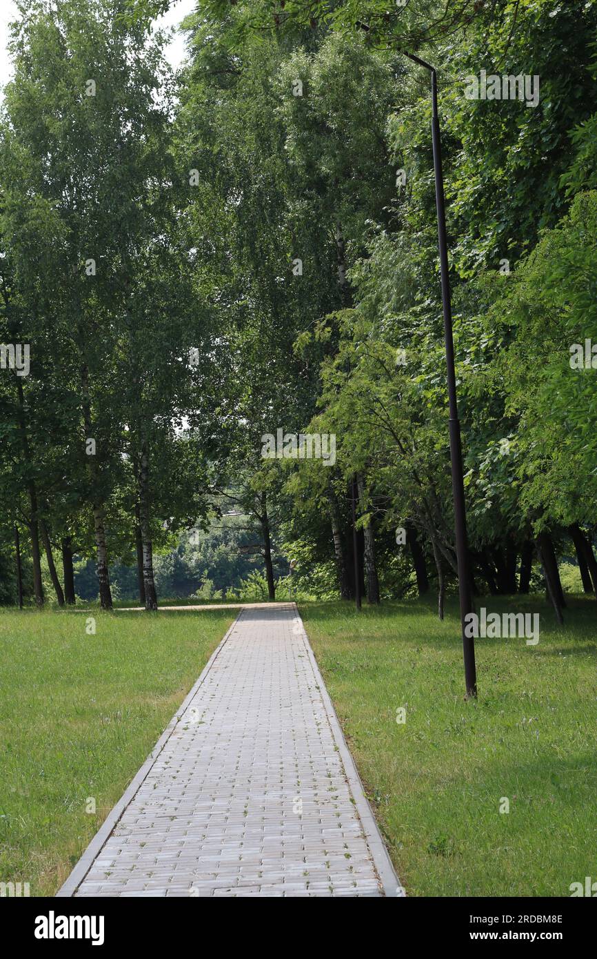 photo an empty road in the park with trees for walking Stock Photo - Alamy